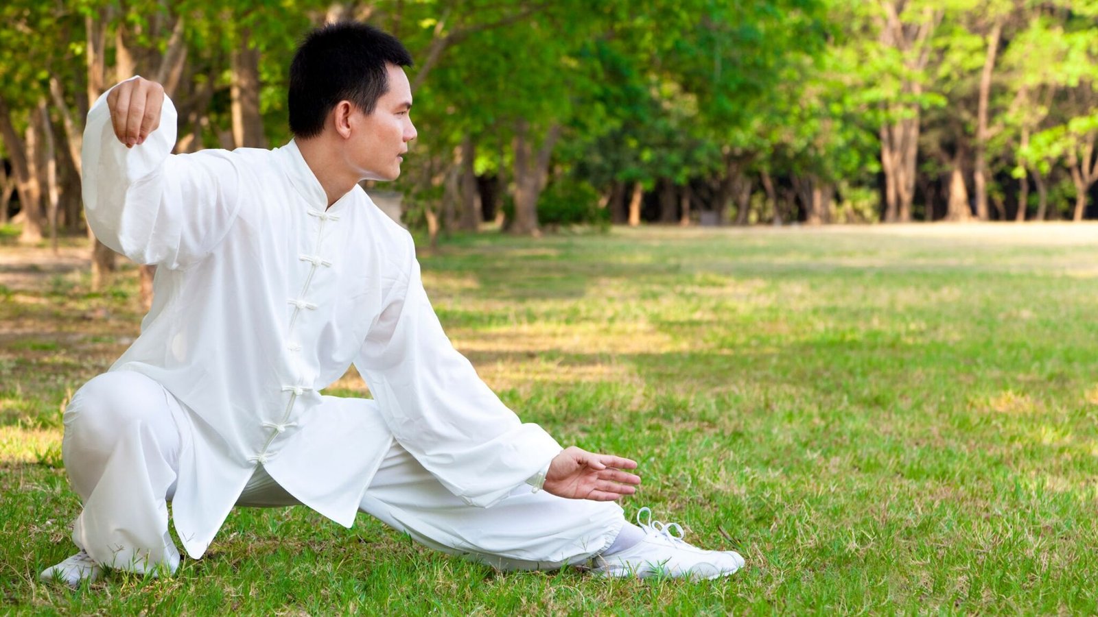 Los 5 Estilos de Kung Fu más conocidas en el mundo » Martial Now